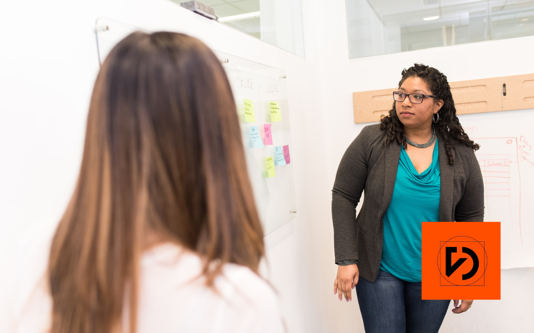 Customized software - what's worth knowing? | Da Vinci Studio